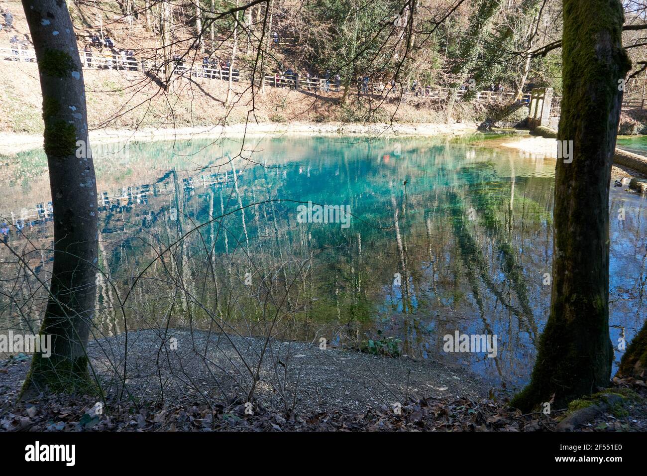 Beautiful reflective lake with dry trees on the background of a bridge ...