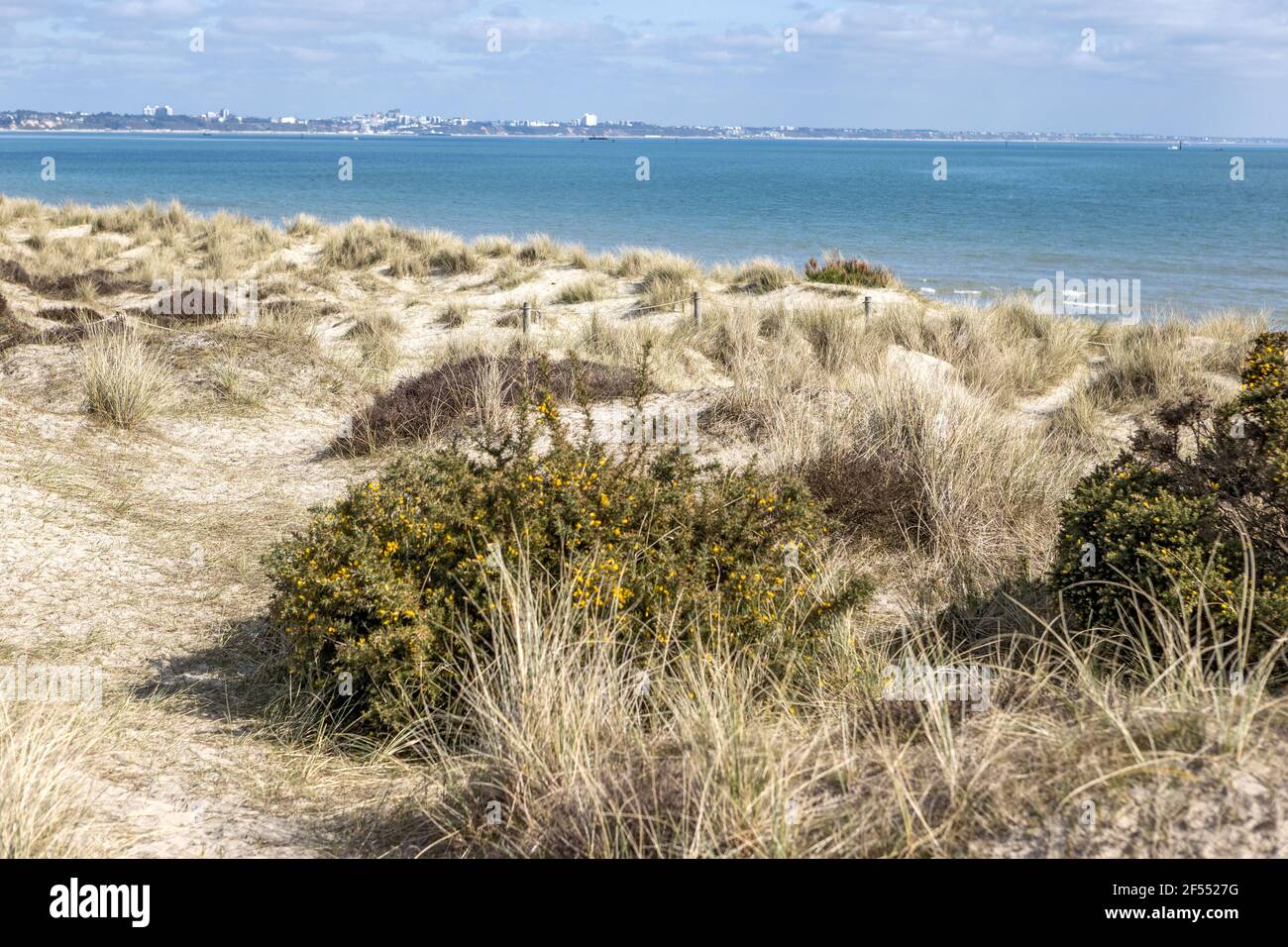 Studland national trust hi-res stock photography and images - Alamy