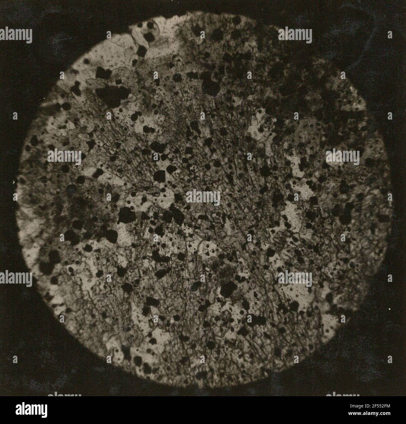 Hornfels High Resolution Stock Photography and Images - Alamy