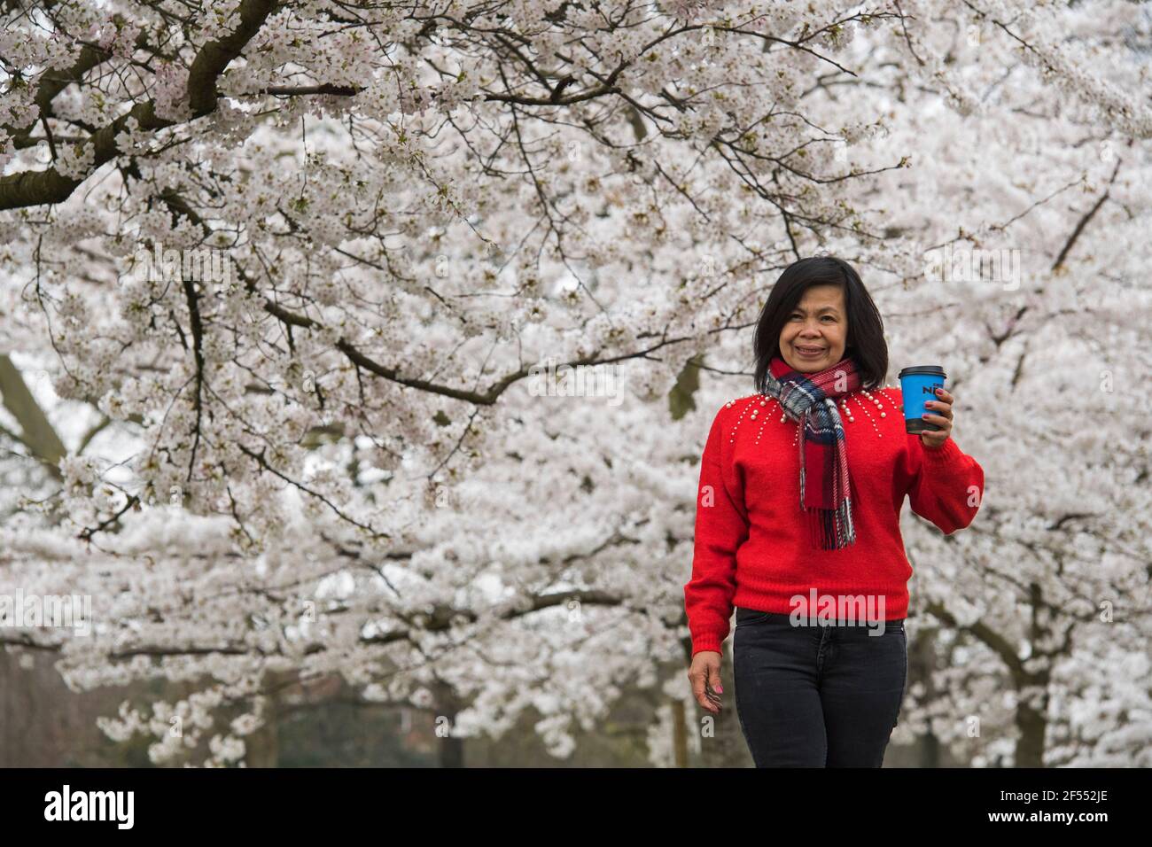 A woman poses for a photograph under cherry blossom in Battersea Park ...