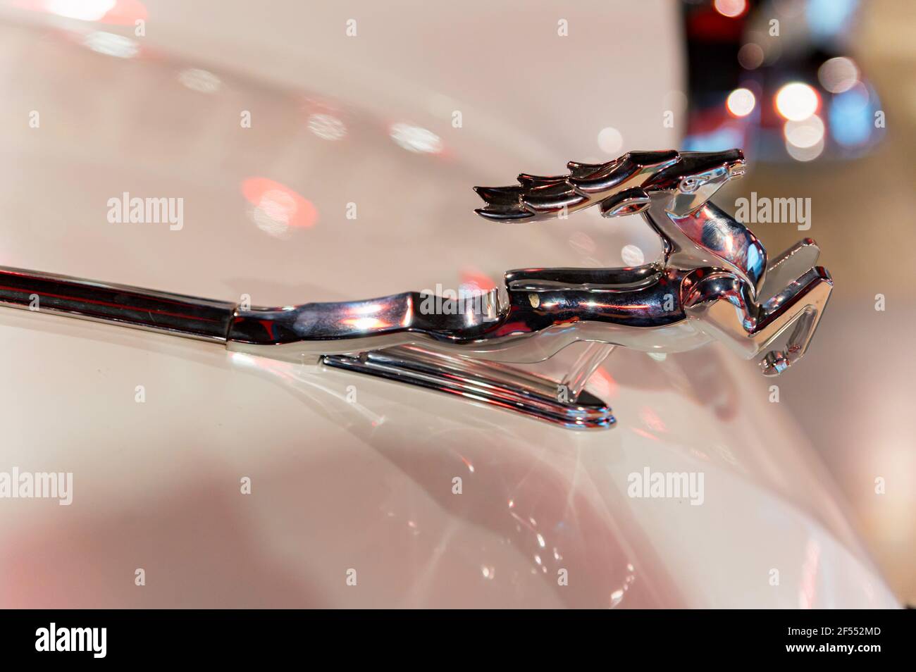 KAMENSK-SHAKHTINSKY, RUSSIA - 25 OCTOBER, 2020: close-up silver deer on ...