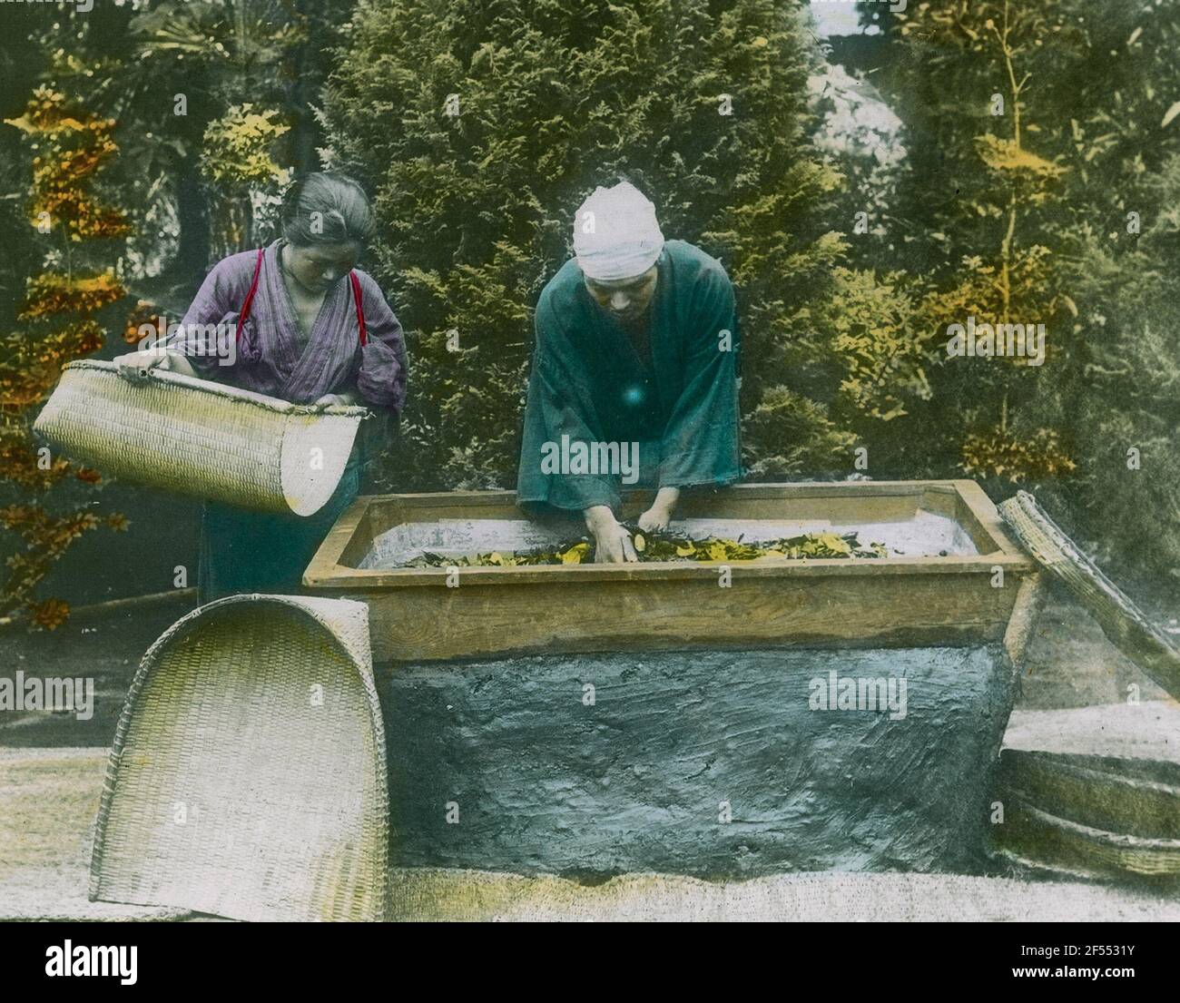 Tea making show hi-res stock photography and images - Alamy