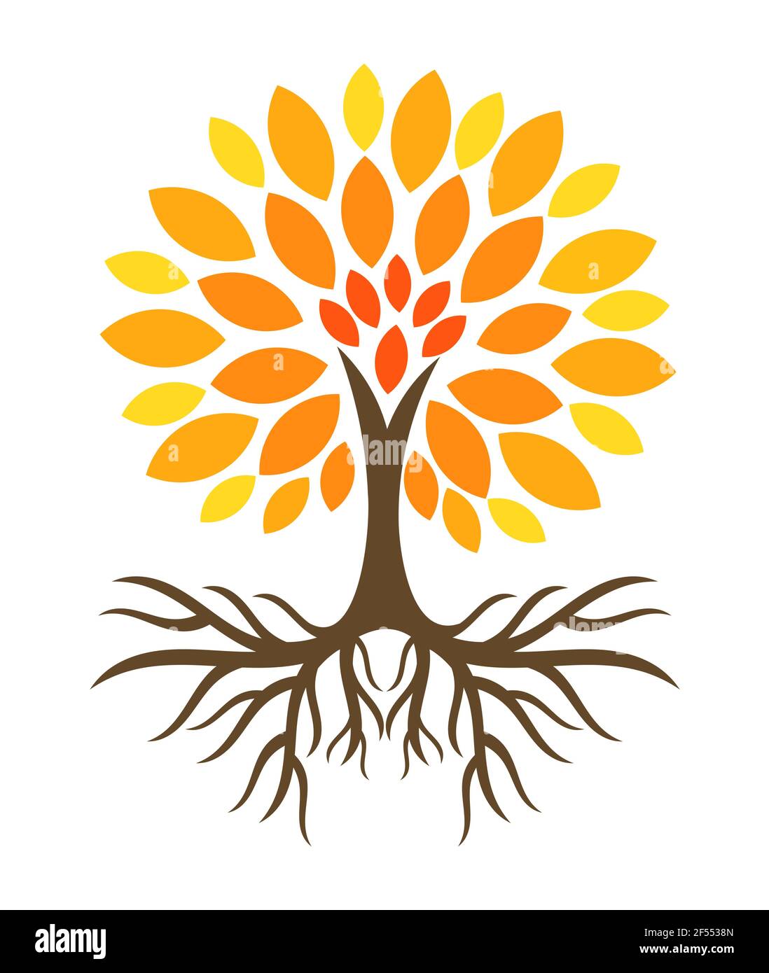 Autumn tree with roots illustration Stock Vector Image & Art - Alamy