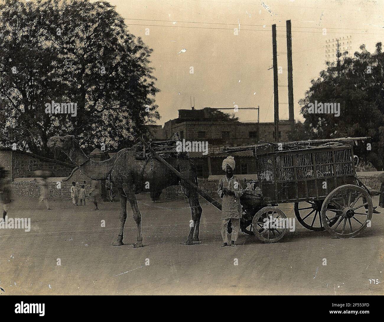 Bombay, India: Local front car with camel Stock Photo - Alamy