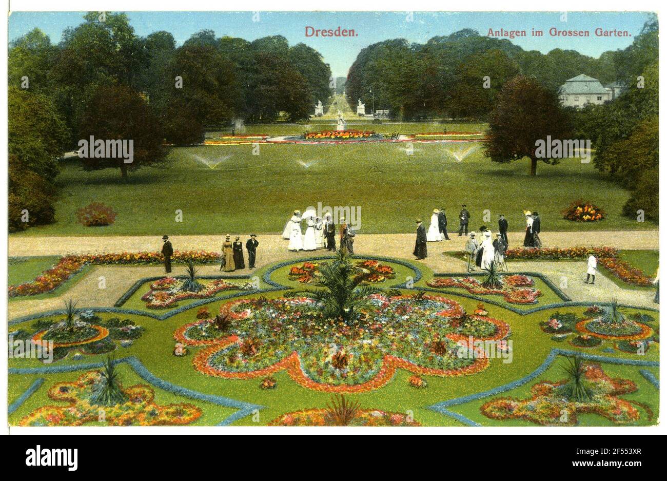 Plants in the large garden Dresden. Plants in the large garden Stock ...