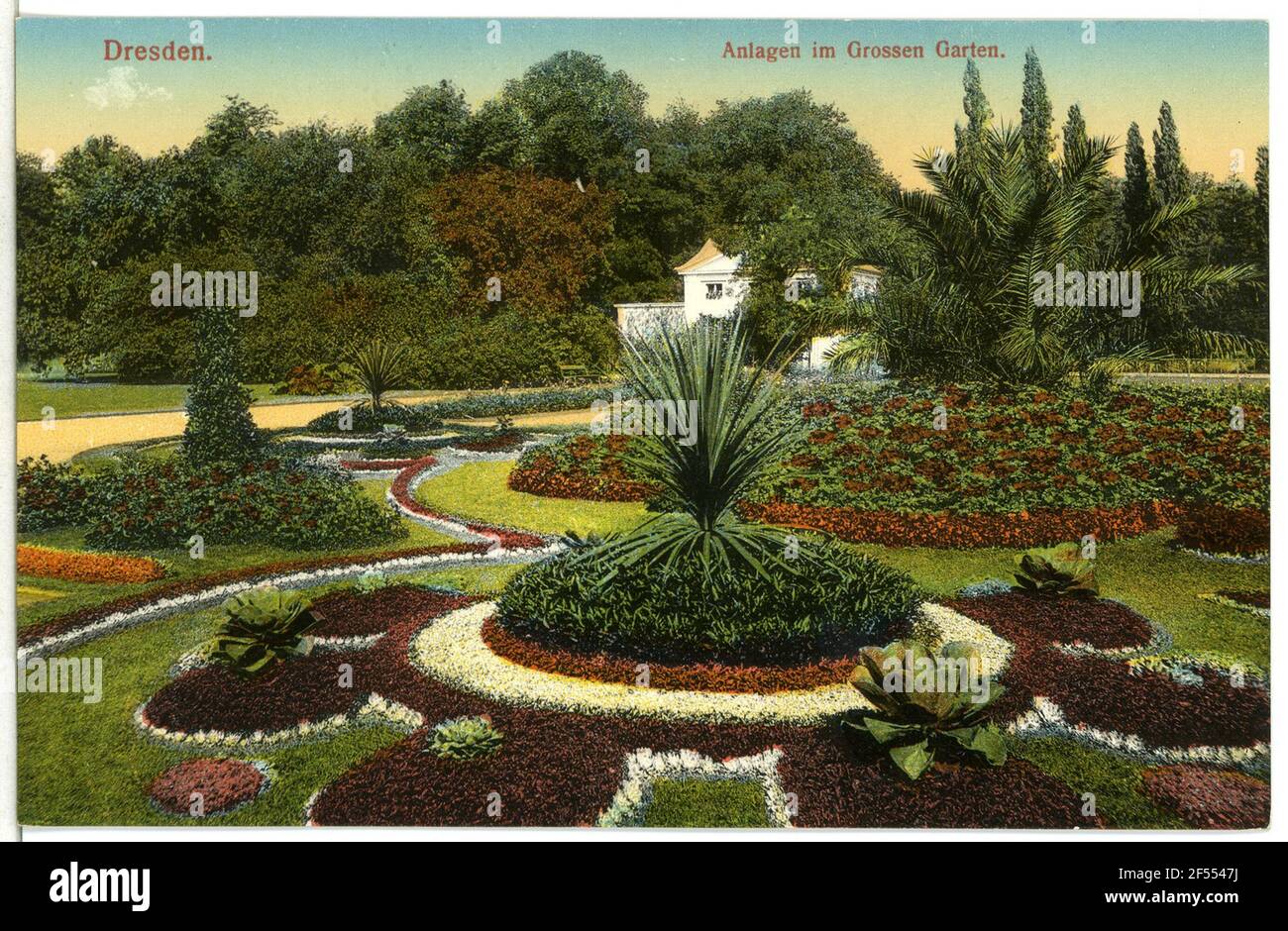 Plants in the large garden Dresden. Plants in the large garden Stock ...