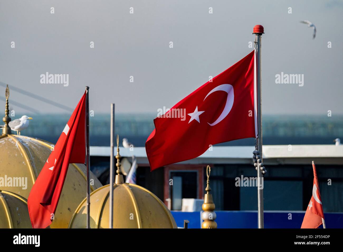 Turkish flag is a red flag featuring a white star and crescent. The ...