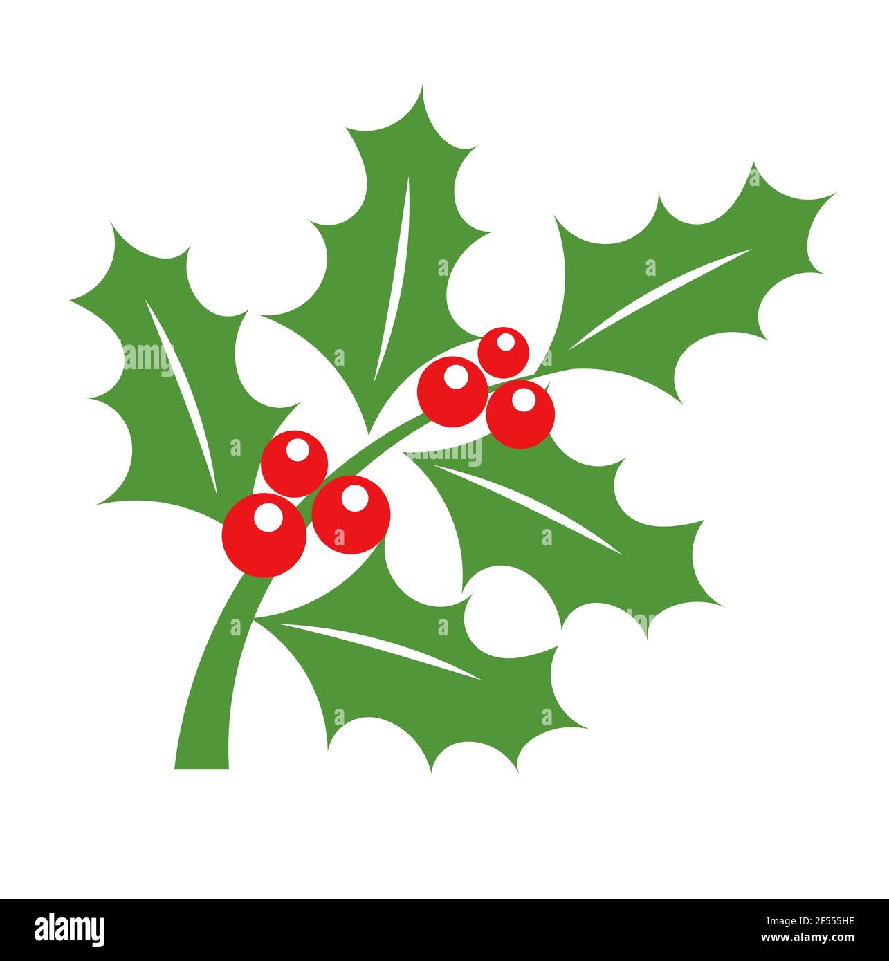 Holly leaf branch clipart Stock Vector Images - Alamy