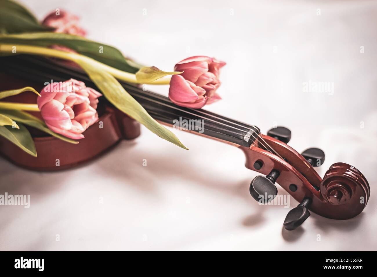 Musical flower arrangement hi-res stock photography and images - Alamy