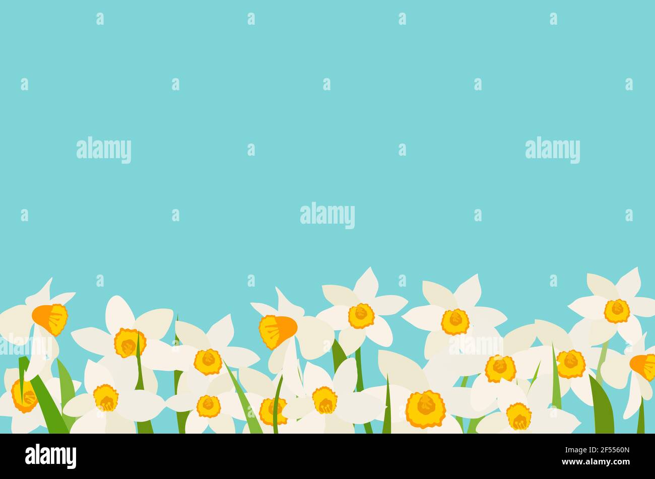 Narcissus Natural Background Template Vector Illustration EPS10 Stock ...