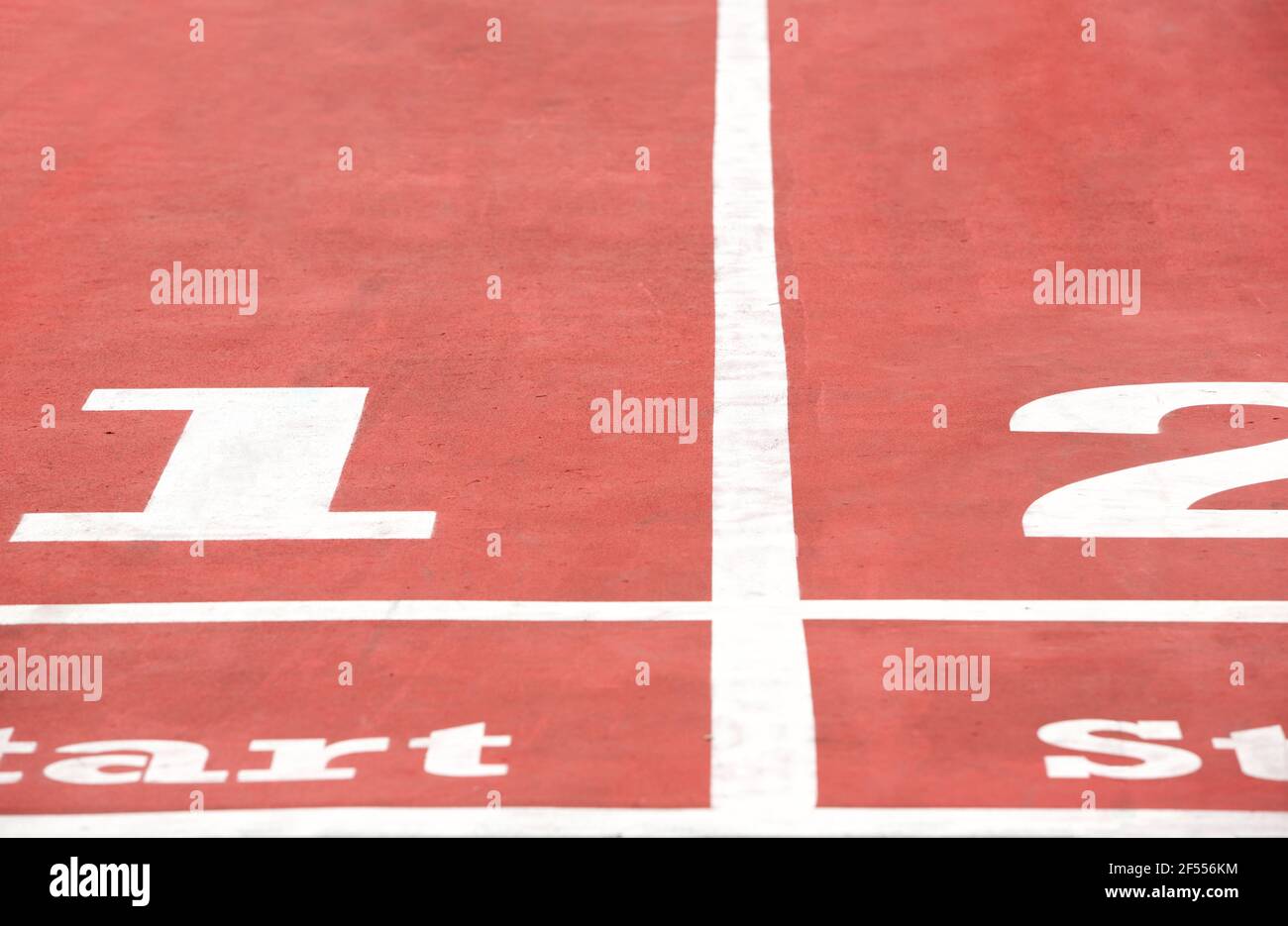 Starting line with numbering on racetrack Stock Photo - Alamy