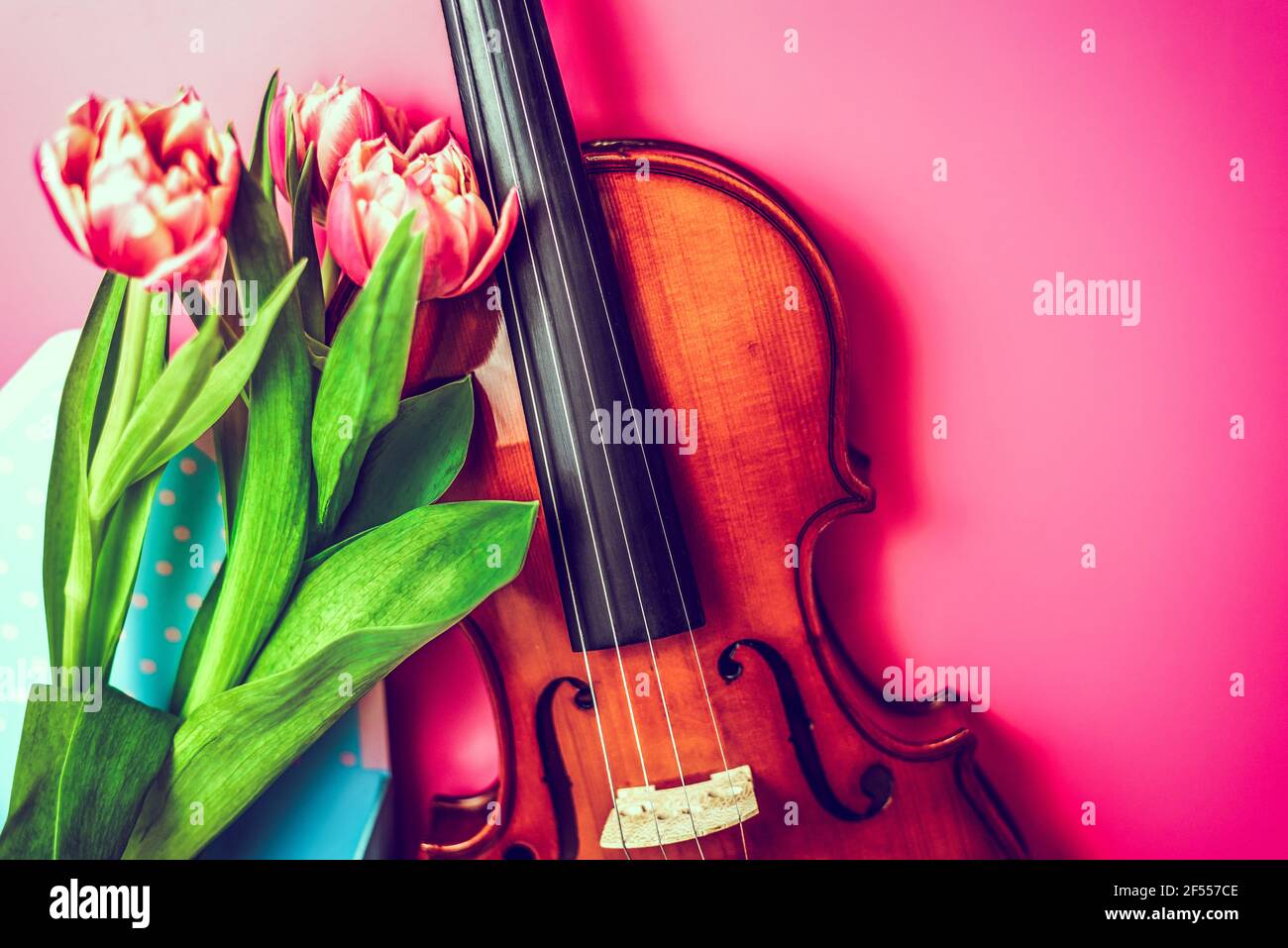 Violin With Flower Photography