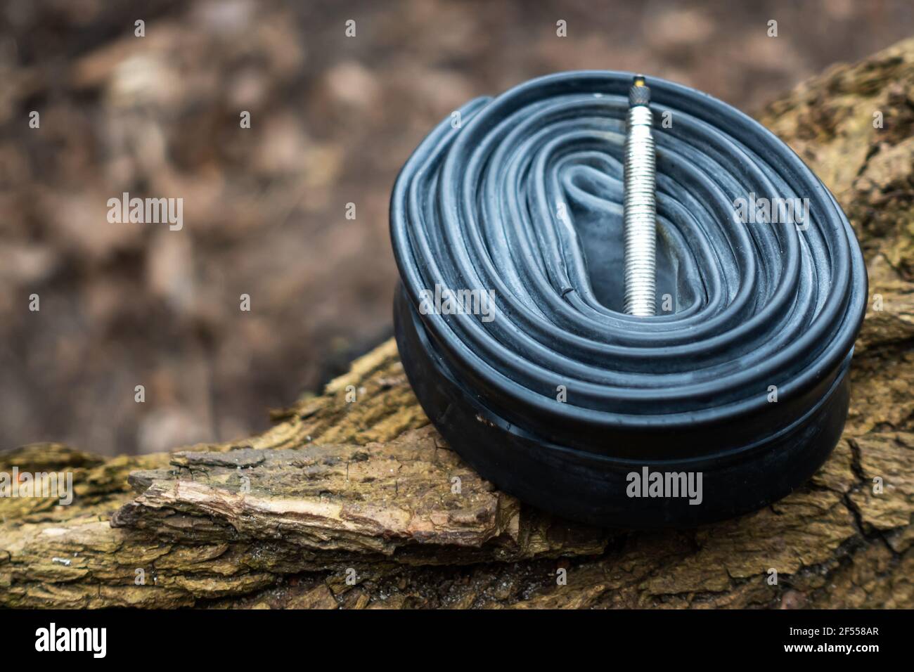 Cycle tube hi-res stock photography and images - Alamy
