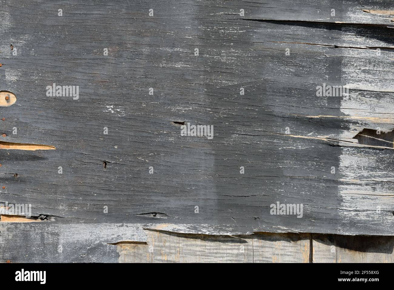 Old grunge textured wooden background,The surface of the old grey wood ...