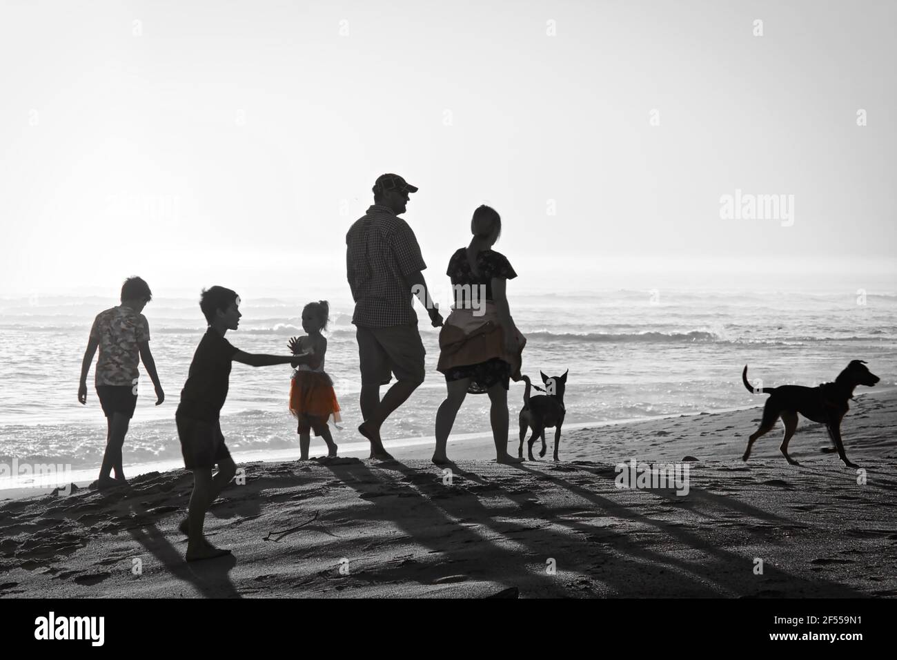 Silhouette of people walking Stock Photo - Alamy