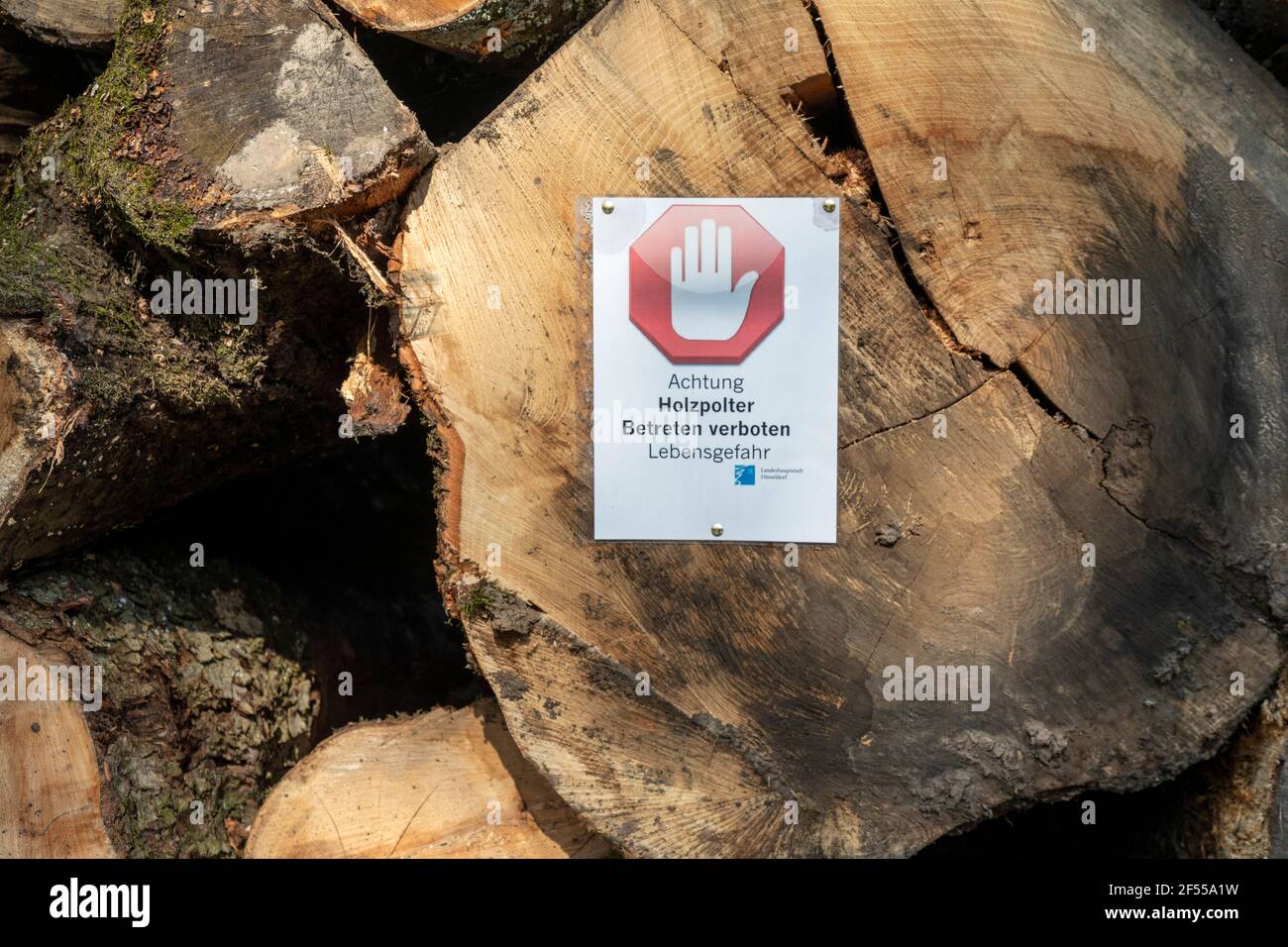 Tree trunks with the sign: Warning, wooden piles, no entry, danger to ...