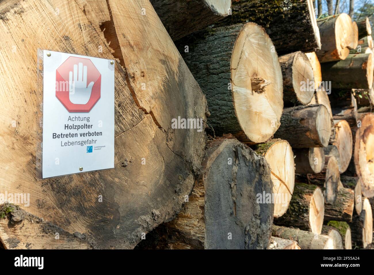 Tree trunks with the sign: Warning, wooden piles, no entry, danger to ...