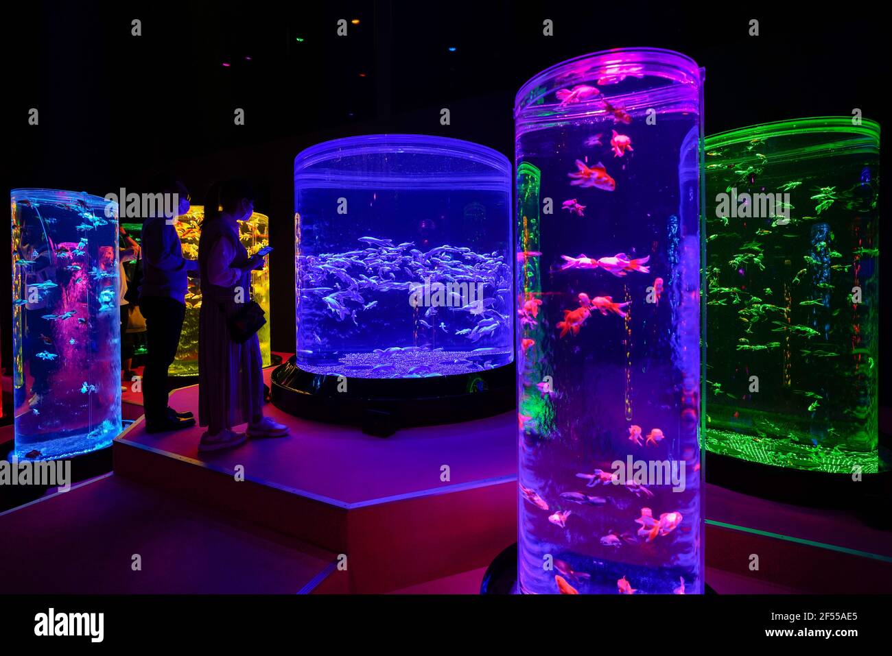 Tokyo, Japan. 24th Mar, 2021. People visit a goldfish exhibition at the ...