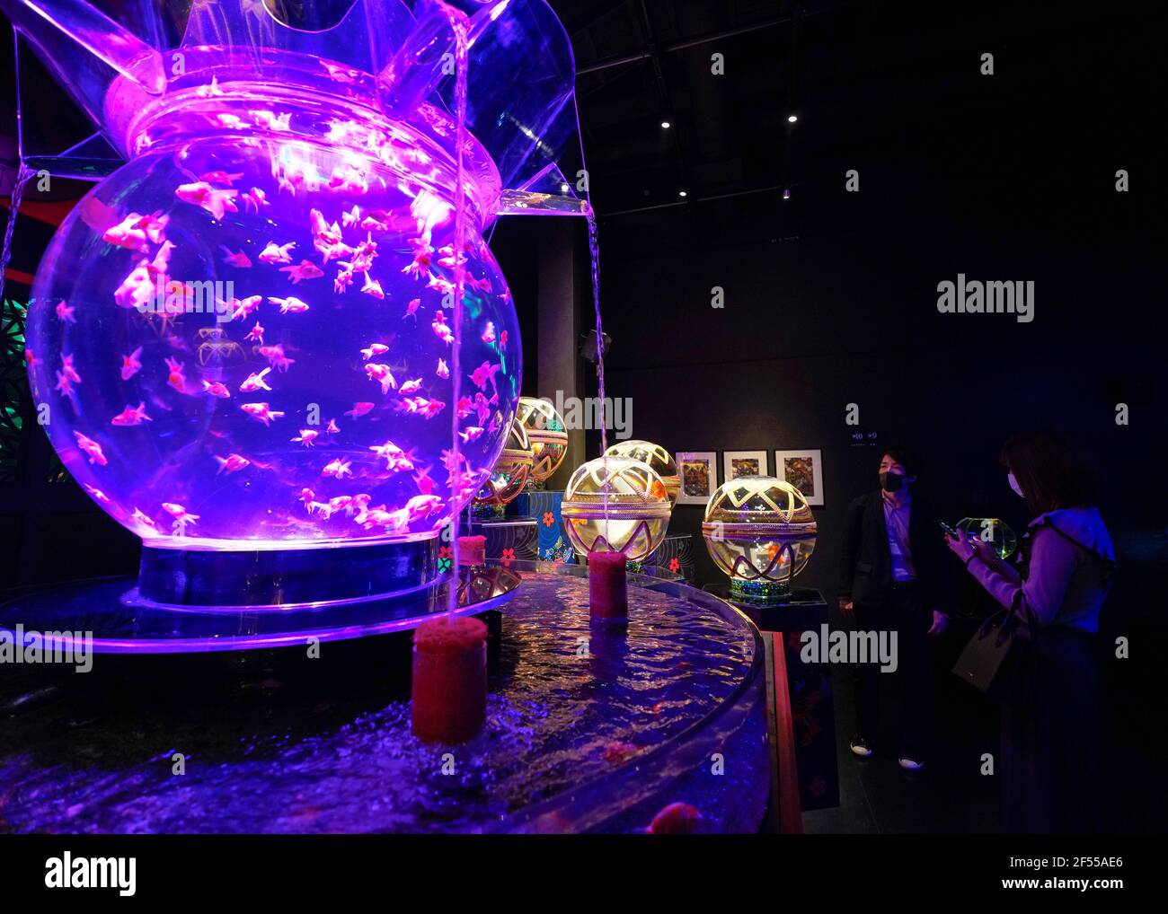 Art aquarium goldfish museum hi-res stock photography and images - Alamy