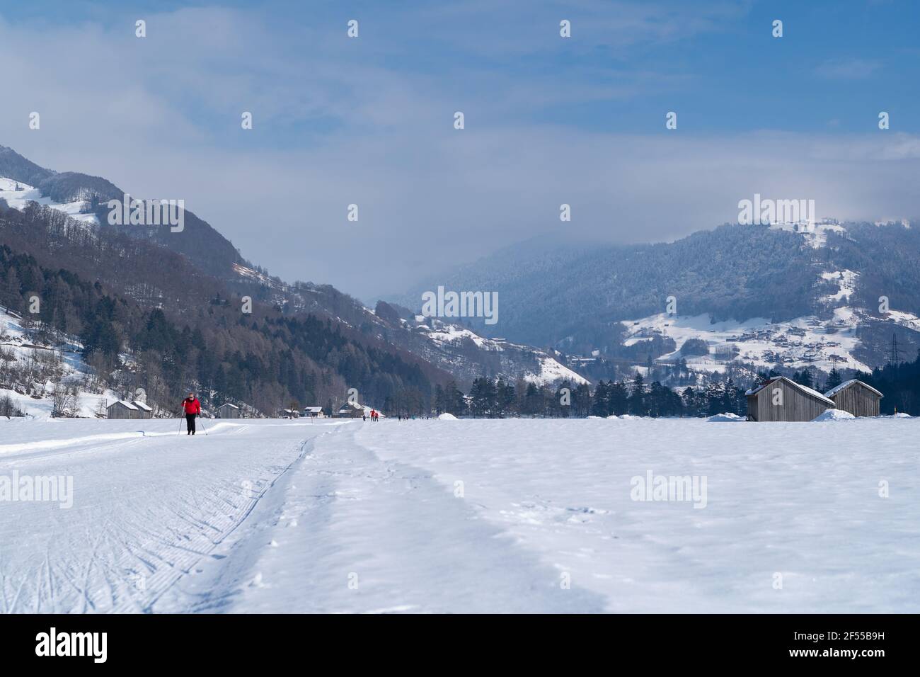 Cross country skiing circuit hi-res stock photography and images - Alamy