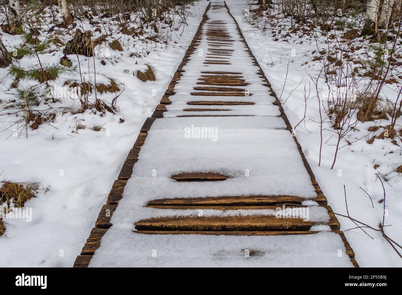 Walk way boardwalk path nature hi-res stock photography and images - Alamy