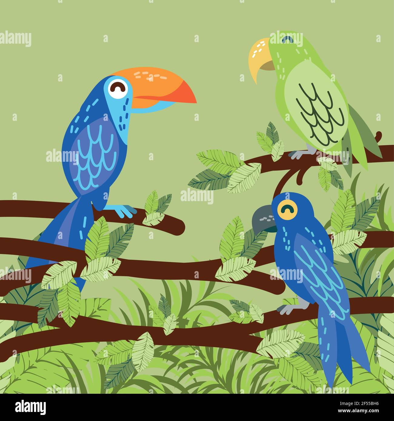 tropical parrots branch Stock Vector Image & Art - Alamy