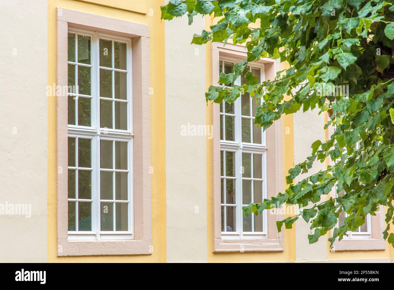 Old-fashioned windows in a renovated old building Stock Photo - Alamy