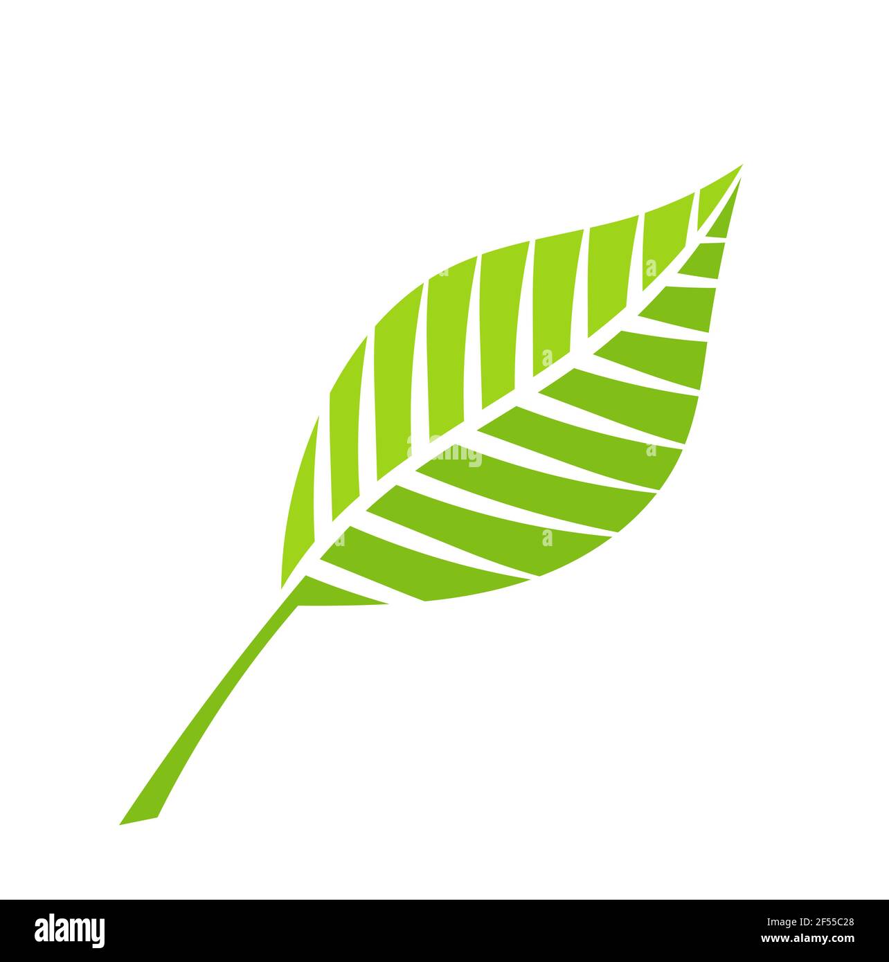 Green leaf vector Stock Vector Image & Art - Alamy