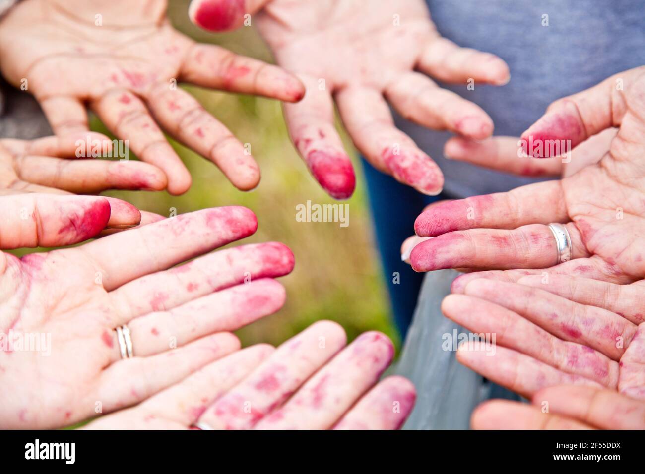 Hands in a circle hi-res stock photography and images - Alamy