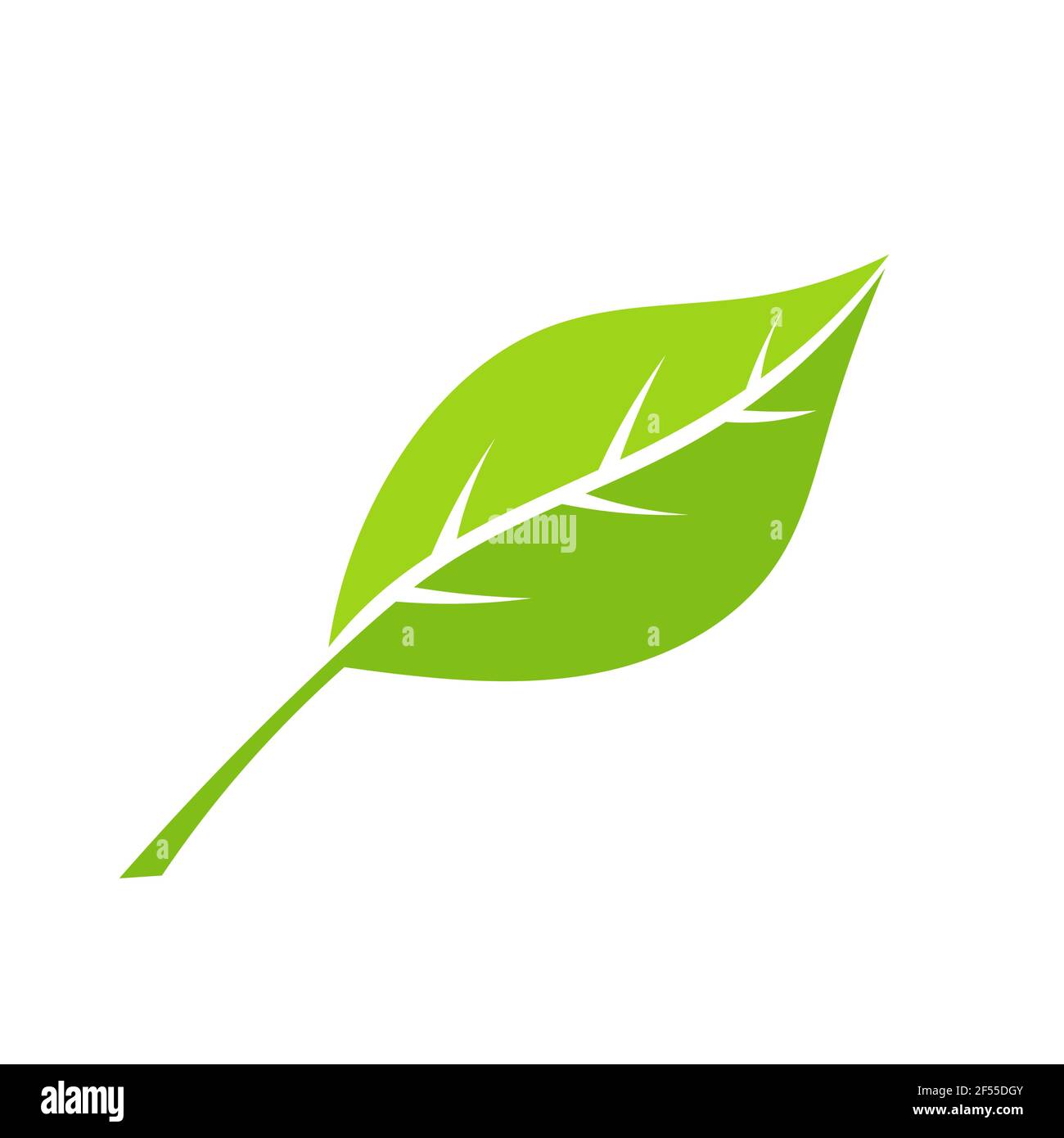 Green eco leaf. Vector illustration Stock Vector Image & Art - Alamy