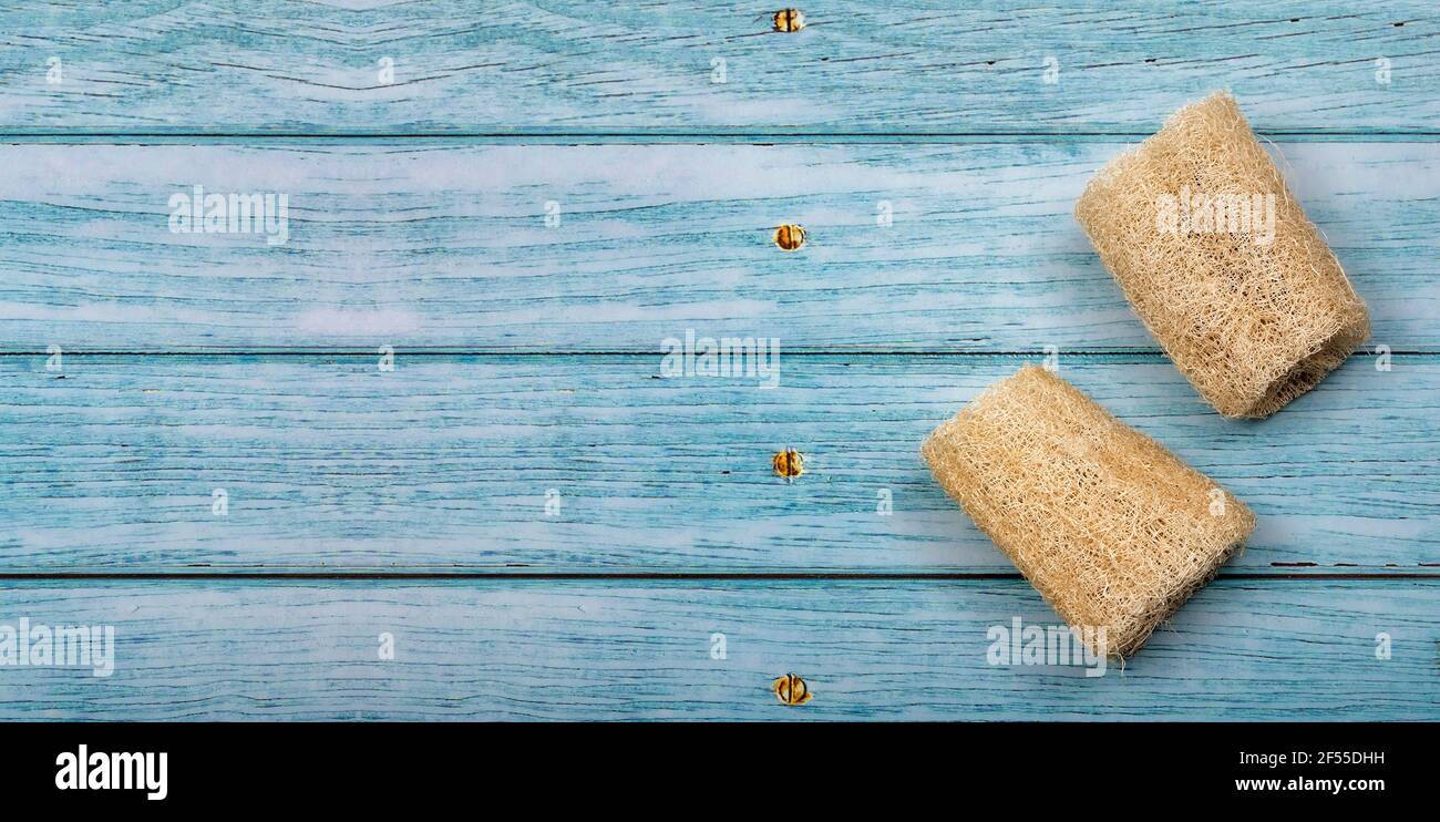 Luffa operculata - Fibrous vegetable cleaning sponge Stock Photo - Alamy