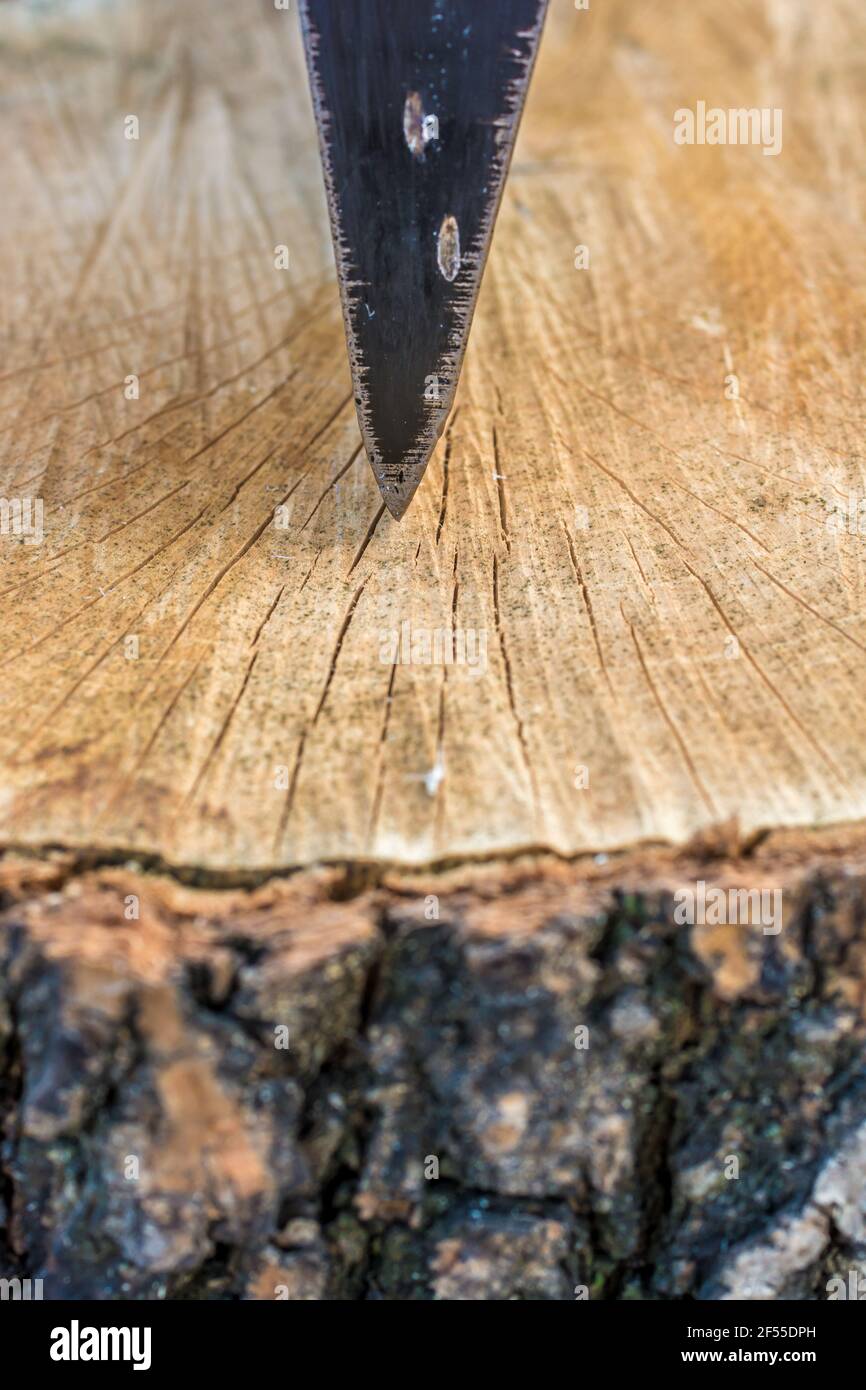 Sharp ax meets wood in detail Stock Photo - Alamy