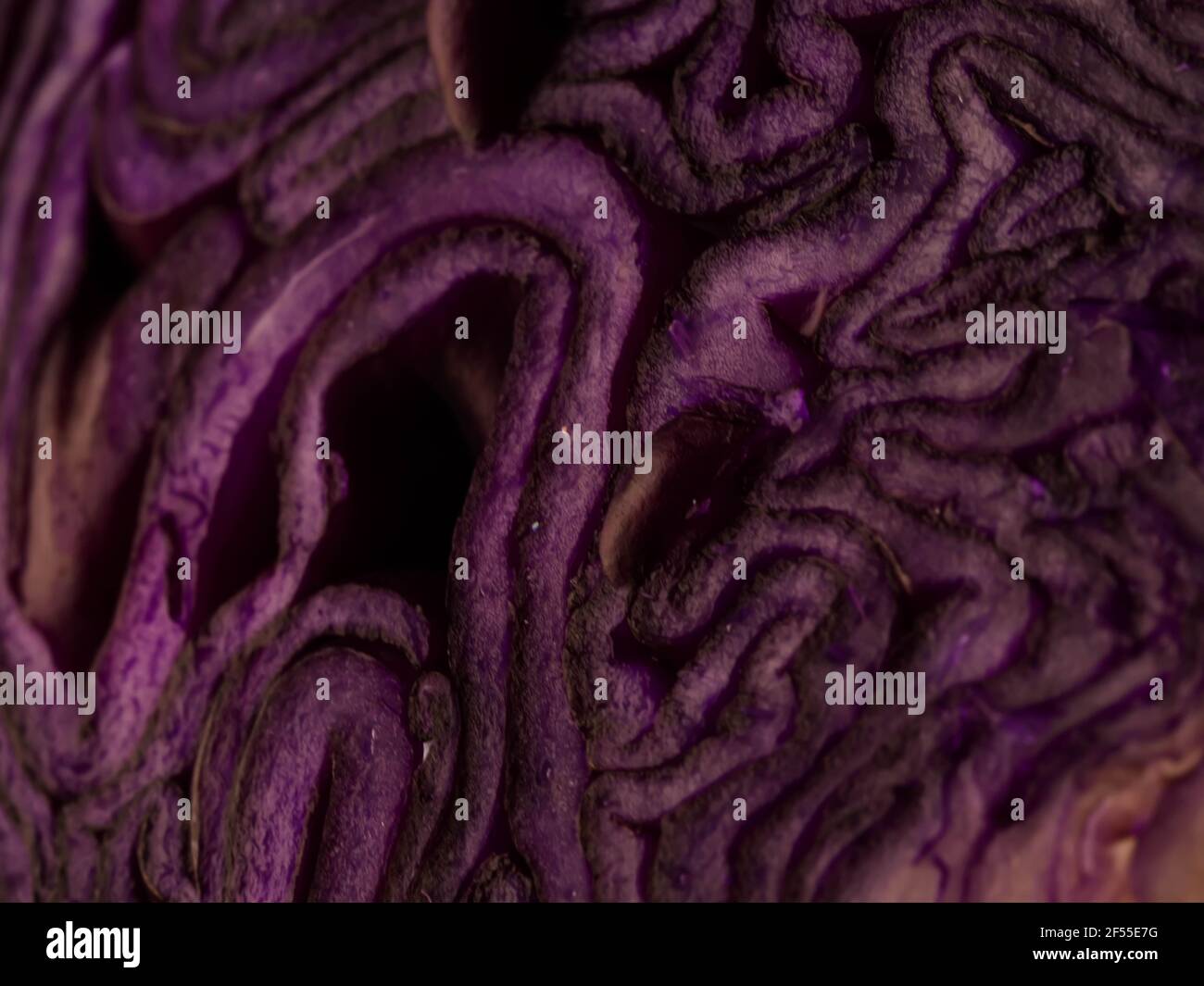 Red cabbage close-up. The texture of the cut cabbage Stock Photo - Alamy