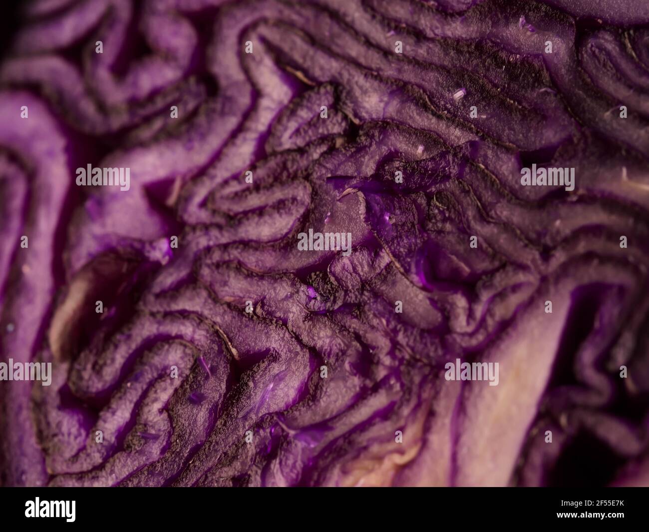 Red cabbage close-up. The texture of the cut cabbage Stock Photo - Alamy