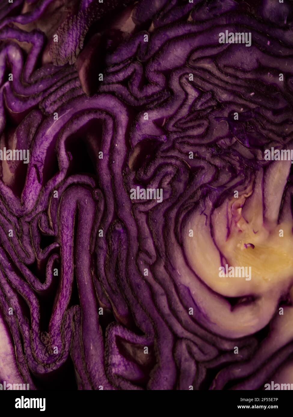 Red cabbage close-up. The texture of the cut cabbage Stock Photo - Alamy
