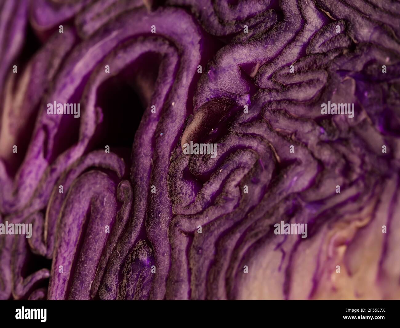Red cabbage close-up. The texture of the cut cabbage Stock Photo - Alamy