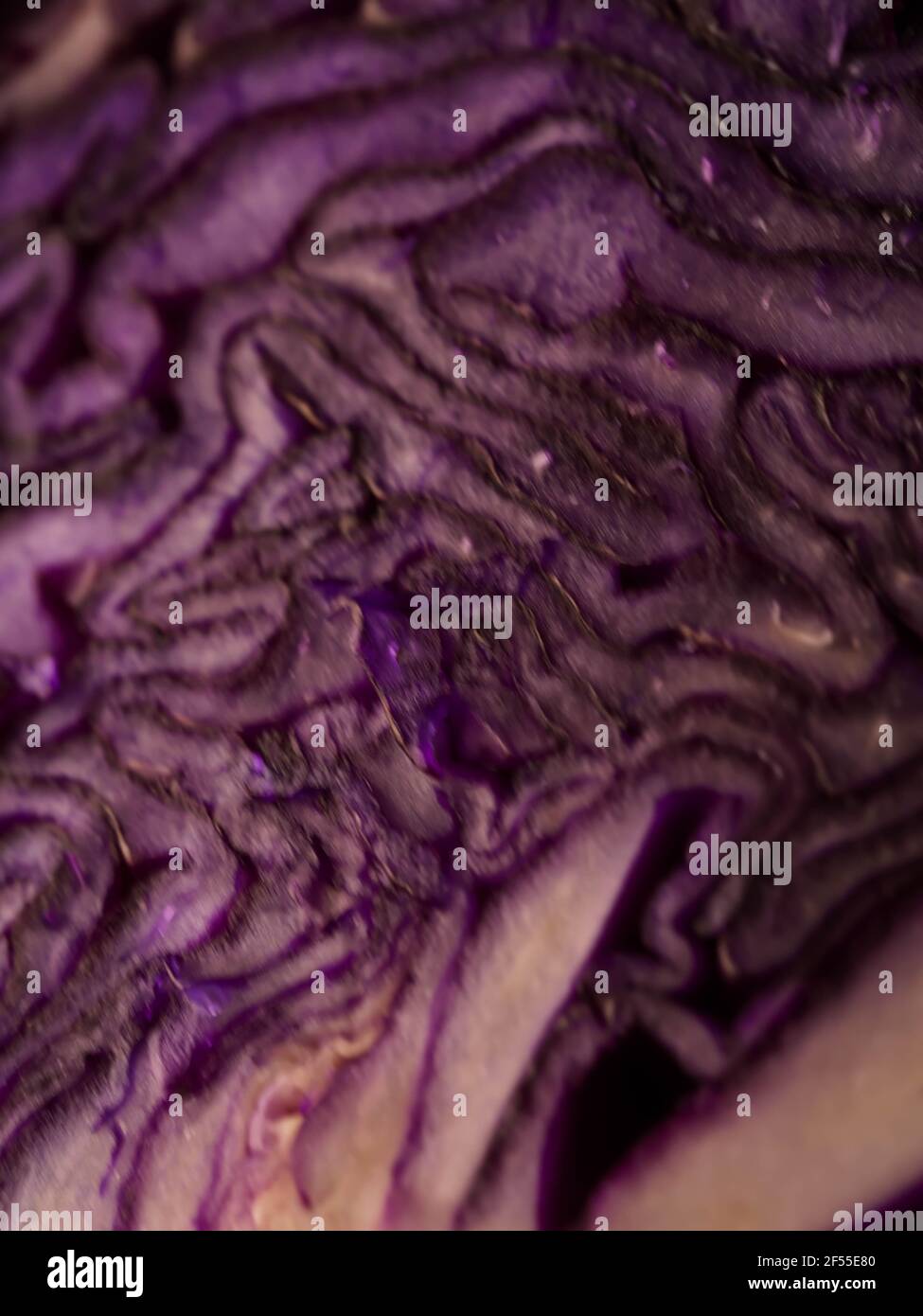 Red cabbage close-up. The texture of the cut cabbage Stock Photo - Alamy