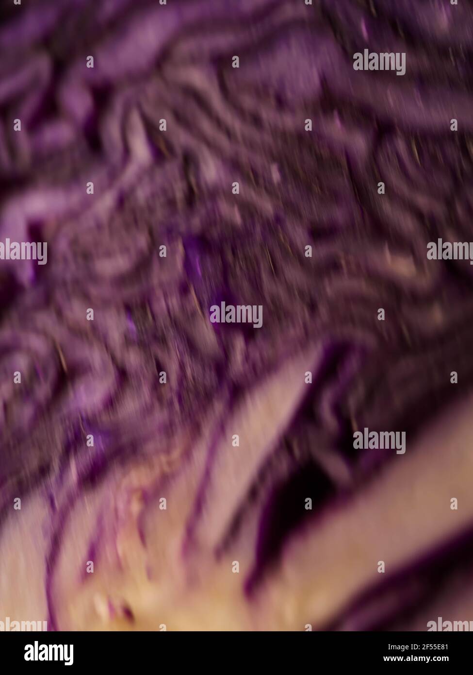 Red cabbage close-up. The texture of the cut cabbage Stock Photo - Alamy