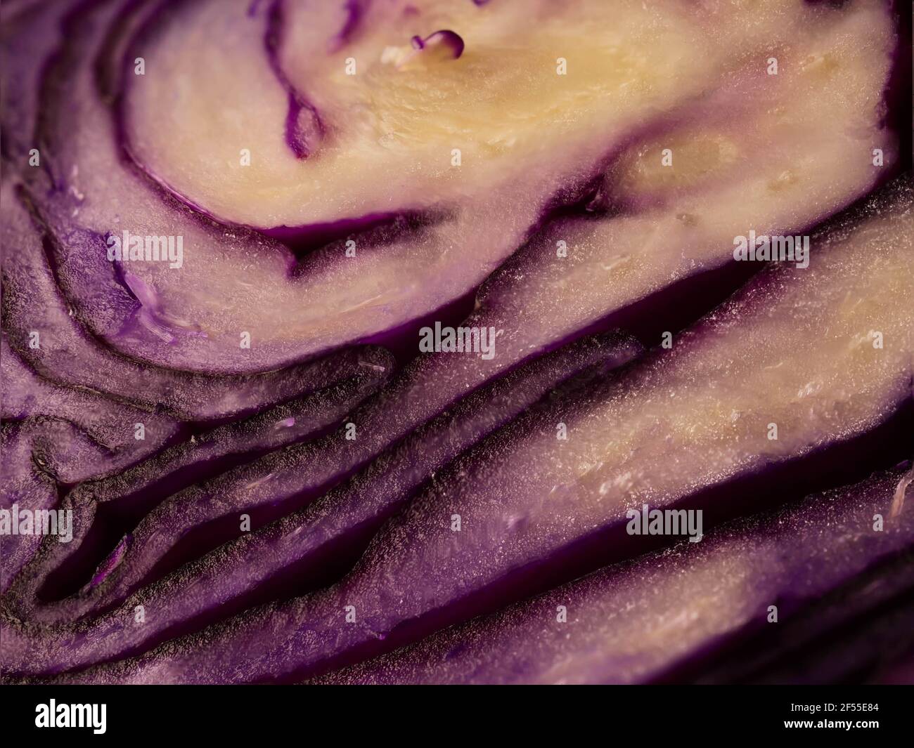 Red cabbage close-up. The texture of the cut cabbage Stock Photo - Alamy