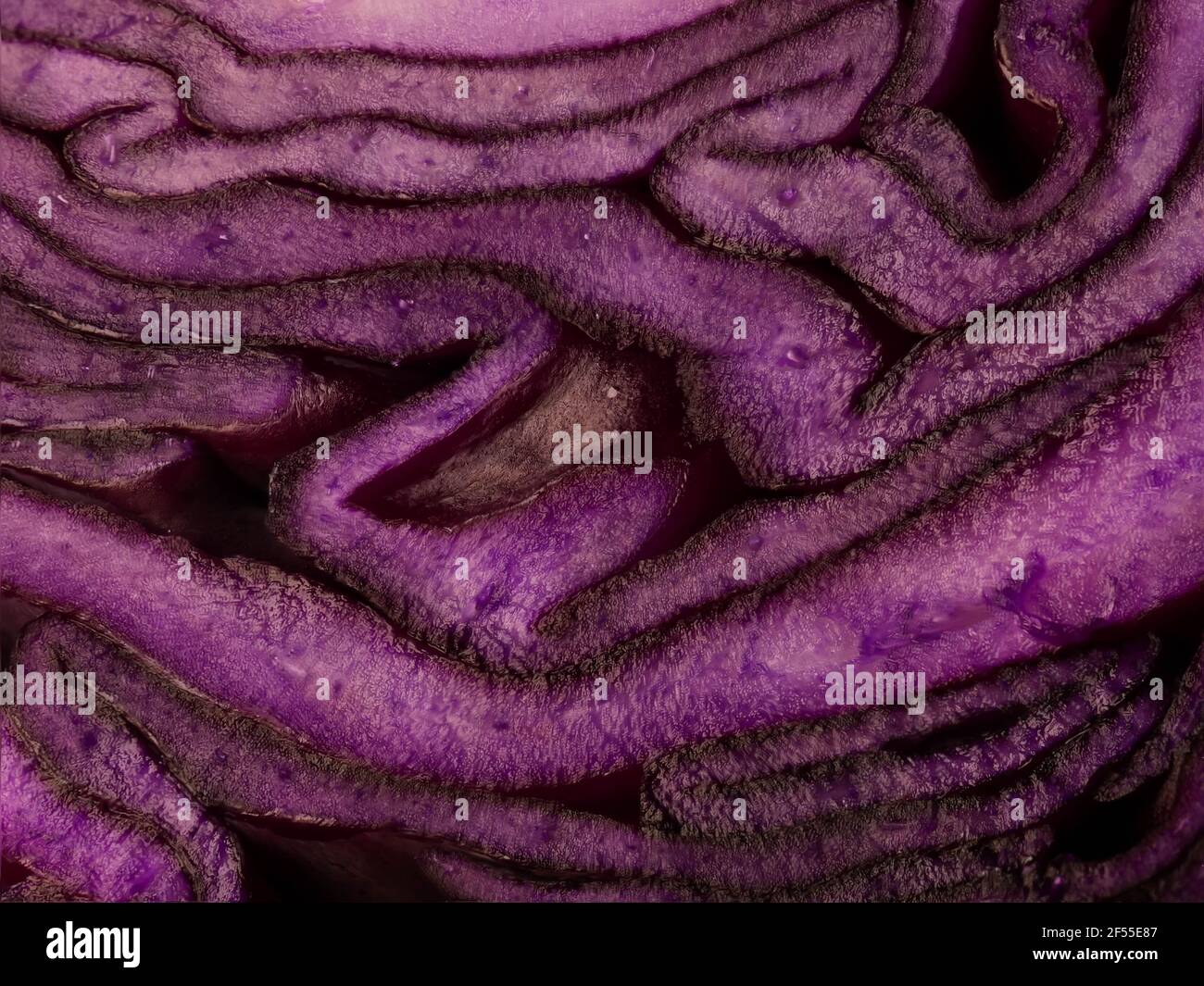 Red cabbage close-up. The texture of the cut cabbage Stock Photo - Alamy