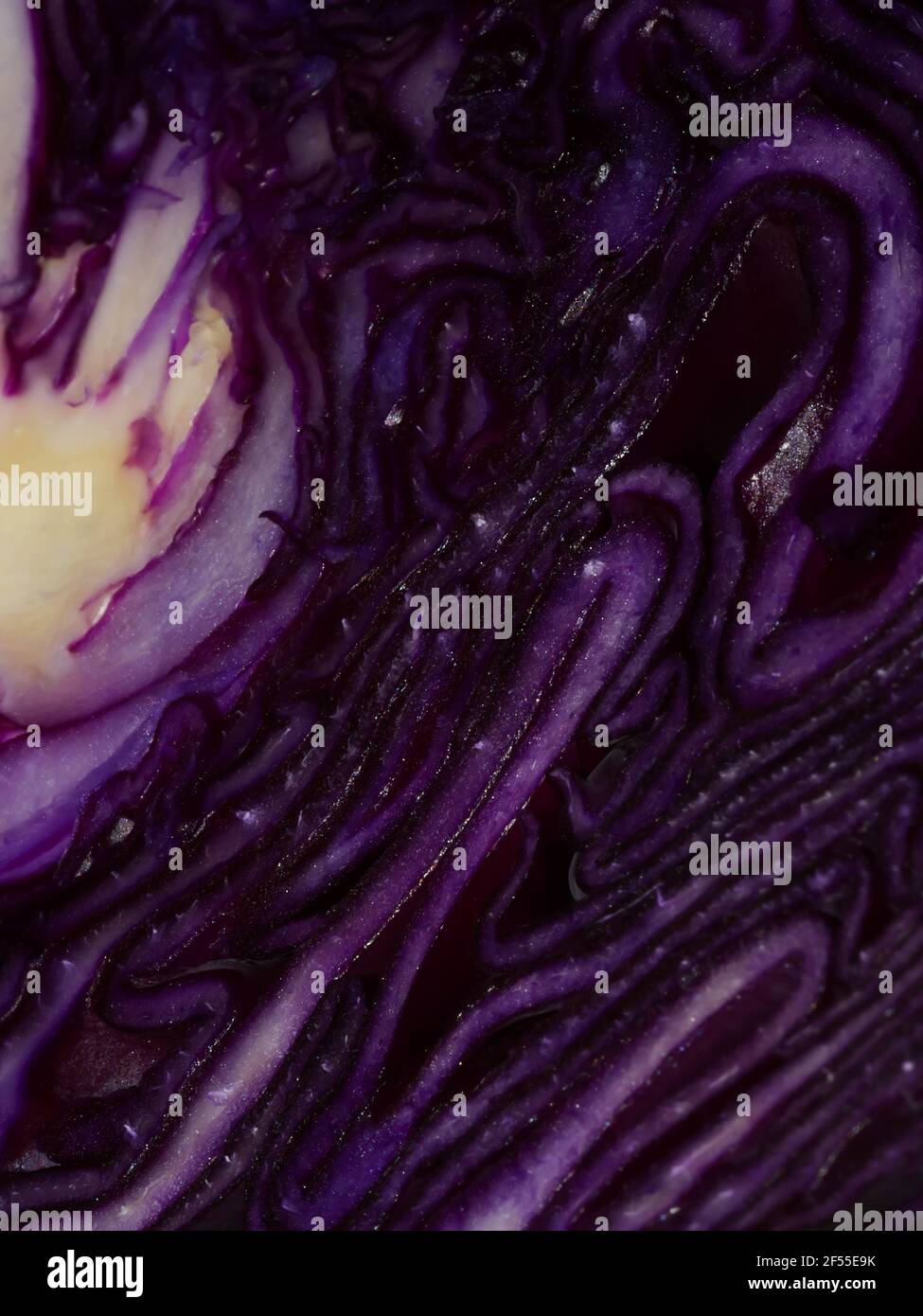 Red cabbage close-up. The texture of the cut cabbage Stock Photo - Alamy