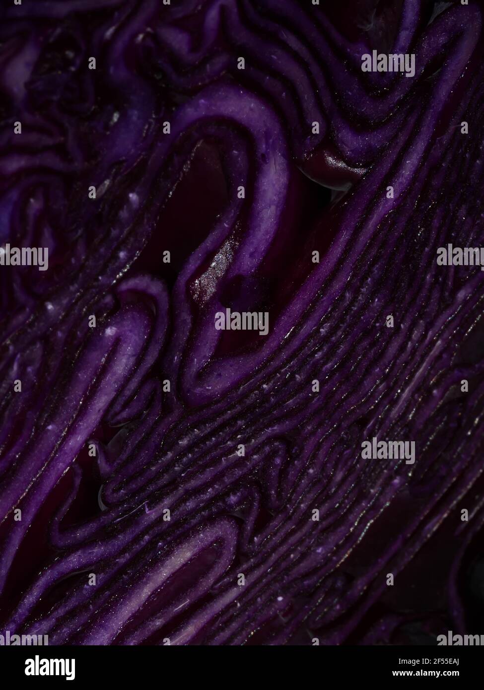 Red cabbage close-up. The texture of the cut cabbage Stock Photo - Alamy