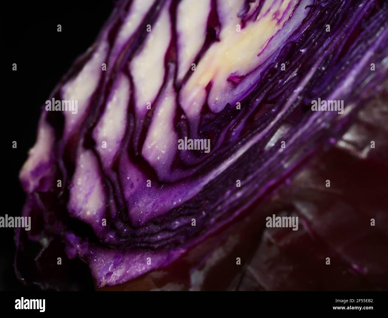 Red cabbage close-up. The texture of the cut cabbage Stock Photo - Alamy