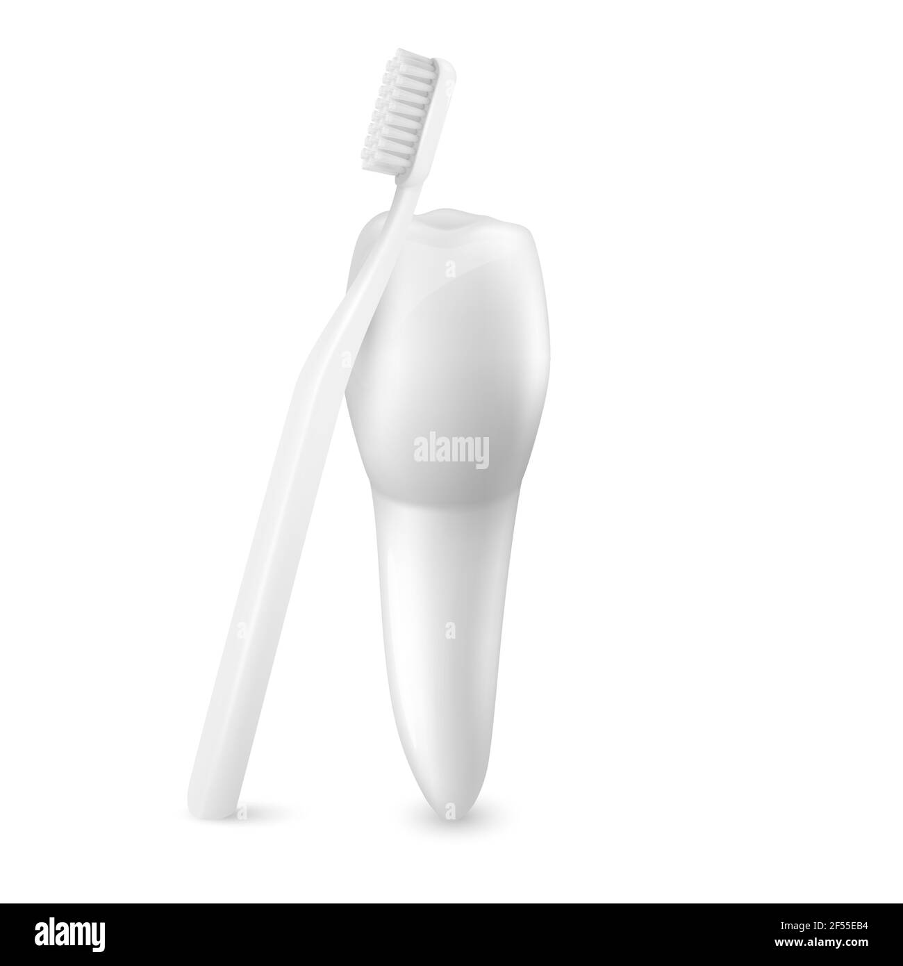 Vector 3d Realistic Toothbrush and Tooth Closeup Isolated on White ...