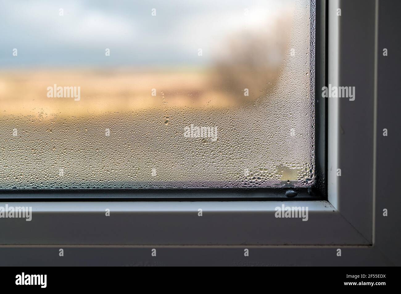 Mold formation through fogged window pane due to poor ventilation of ...