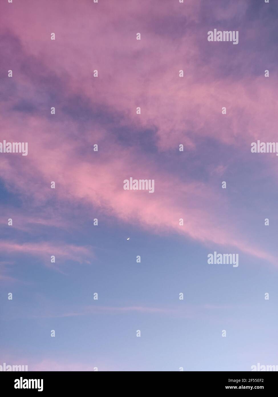 Vertical shot bright blue hi-res stock photography and images - Alamy