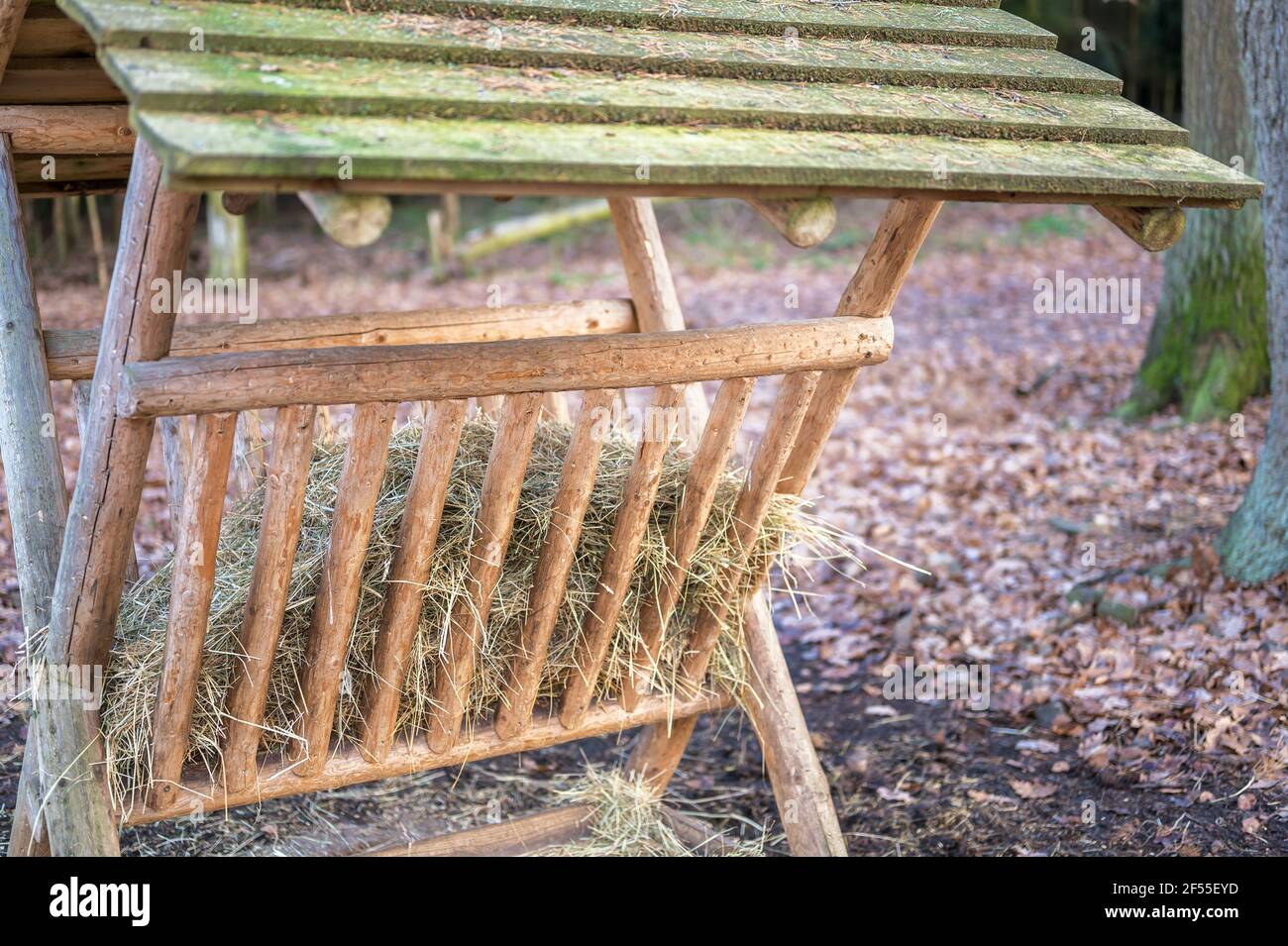 Crib hay hi-res stock photography and images - Alamy