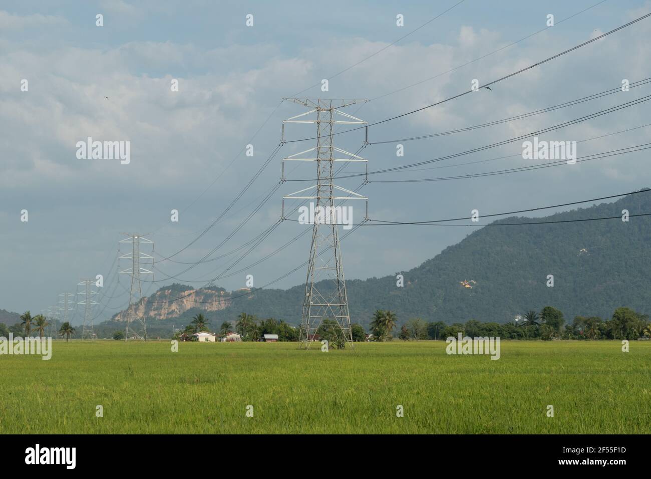 Large paddy field with transmission towers during daylight Stock Photo ...