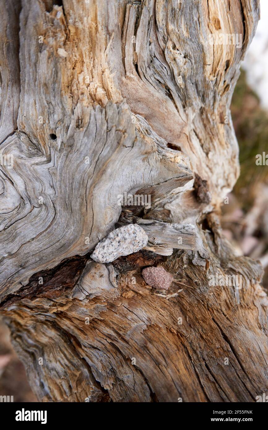 Vertical shot bumpy dry hi-res stock photography and images - Alamy