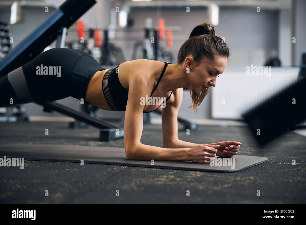 Concentrated brunette female person standing in plank Stock Photo - Alamy